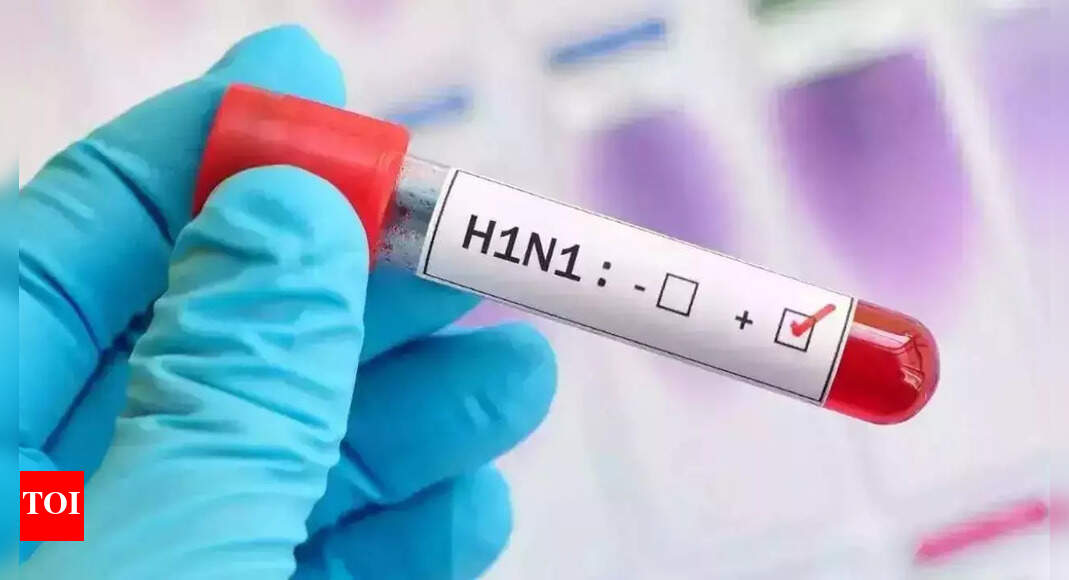 H1N1: H1N1 Cases Rising in City Despite Drop in Malaria, Dengue, and Lepto | Mumbai News - The ...
