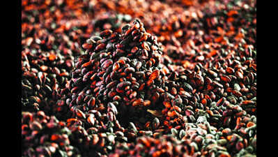 Chocolate Price: Impact of Heatwaves and Bad Weather on Chocolate ...