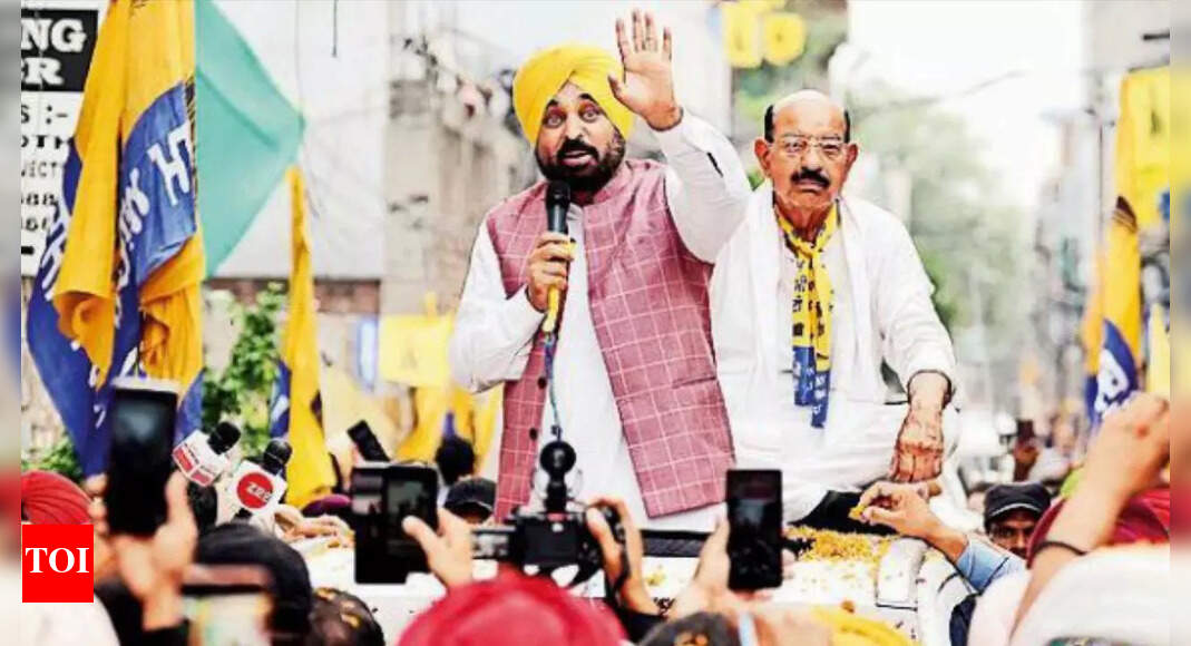 Punjab Chief Minister Bhagwant Mann: Punjab CM Bhagwant Mann Challenges BJP Candidate Sheetal ...