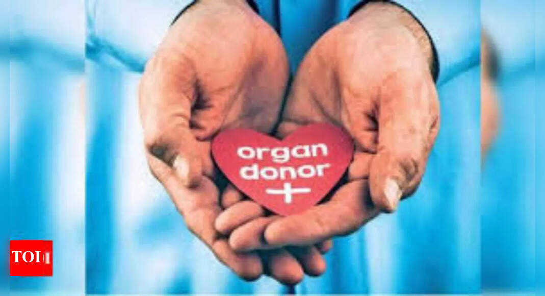 Organ Donation: 81 Families Donate Organs, Save 213 Lives in ...