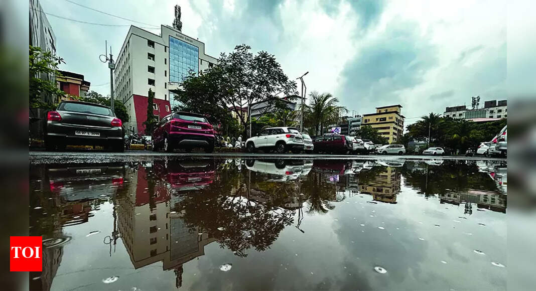 Goa to receive heavy rainfall, on yellow alert till Monday | Goa News ...