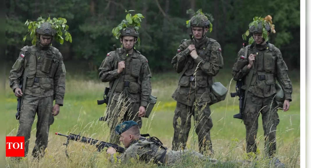 Poland eyes border guard help from Germany, Greece, Finland - Times of ...