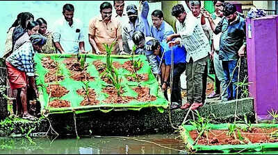 Floating Wetlands: Floating Wetlands Installed in Thevara-Perandoor ...