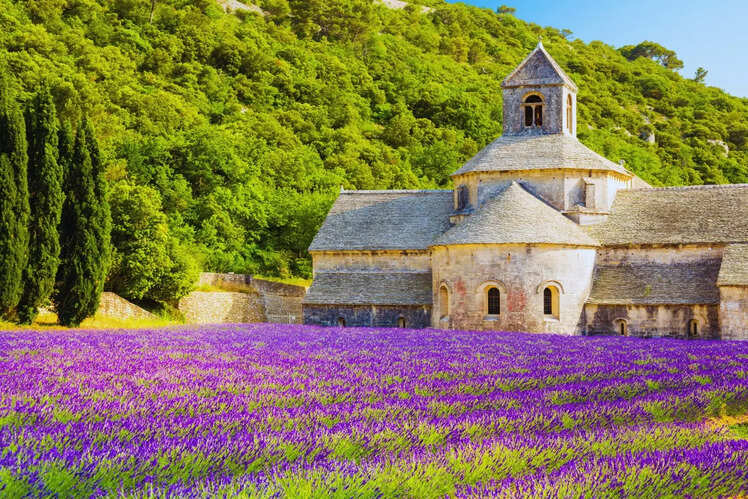 8 countries famous for their countryside destinations | Times of India ...