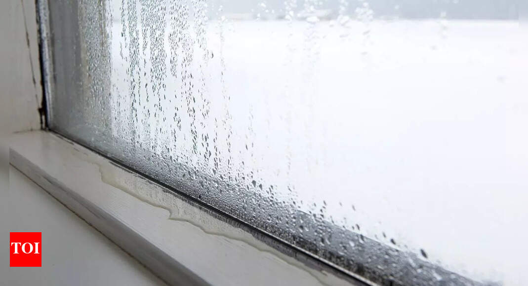 11 best tech tips to reduce humidity in your home | - The Times of India