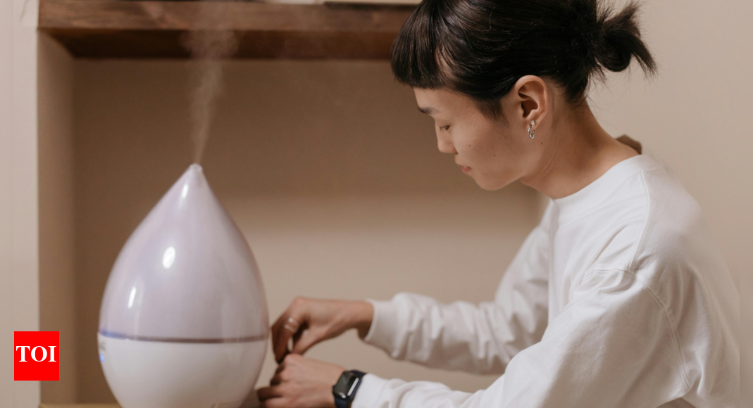 Best Humidifiers In India To Enhance Indoor Air Quality - The Times Reviews