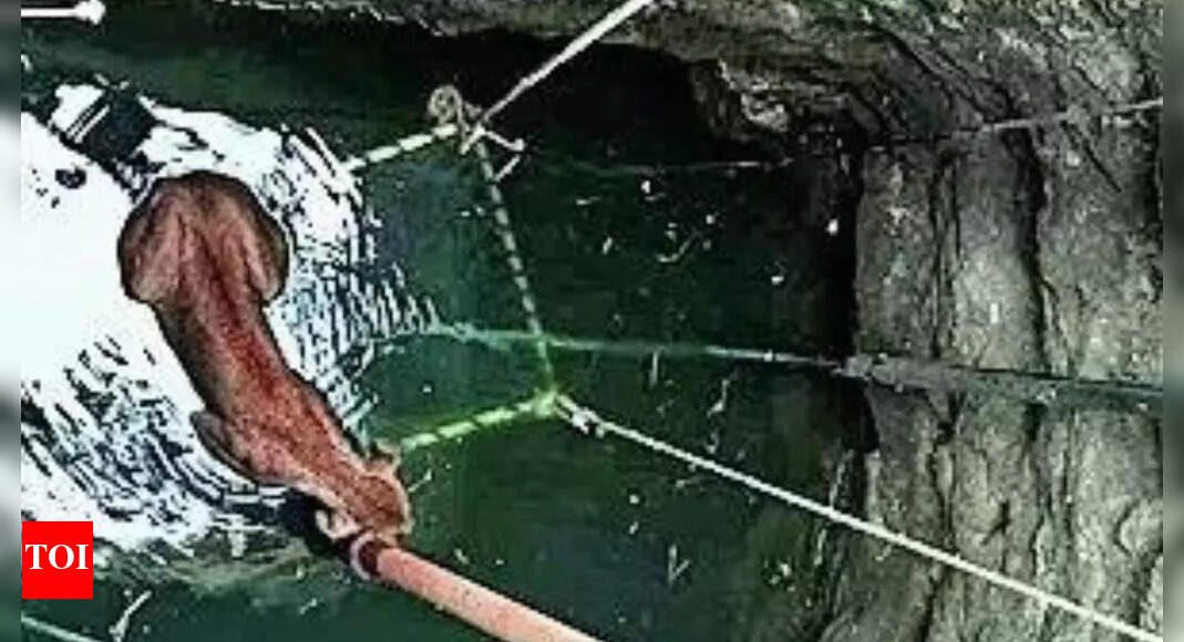 2 lionesses fall into well, 1 dead | Surat News - Times of India