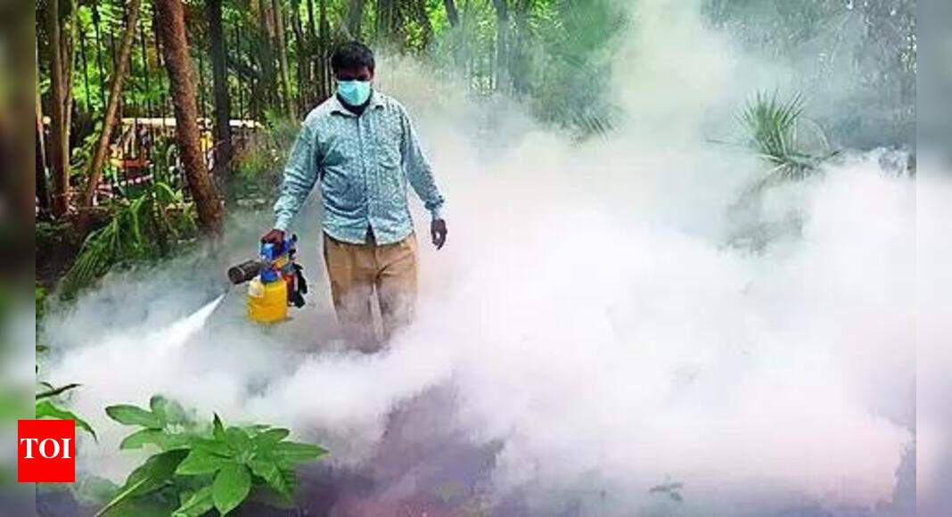 Dengue Prevention: Steps to Tackle Dengue During Monsoon in Focus | Delhi News - Times of India