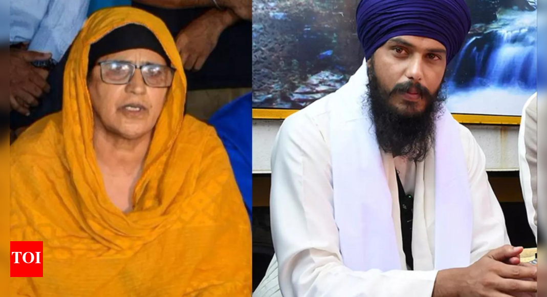 'Dreaming of Khalsa Raj not a crime': Amritpal Singh contradicts mother's statement | India News ...