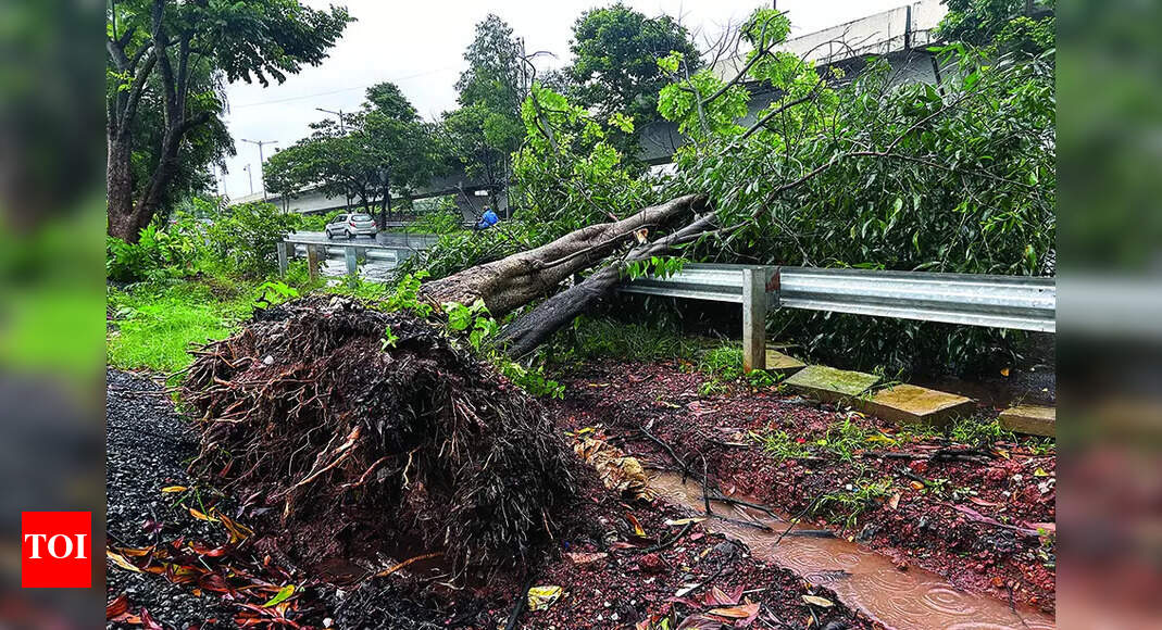 3 Kundaim workers crushed as destruction pours on state | Goa News ...