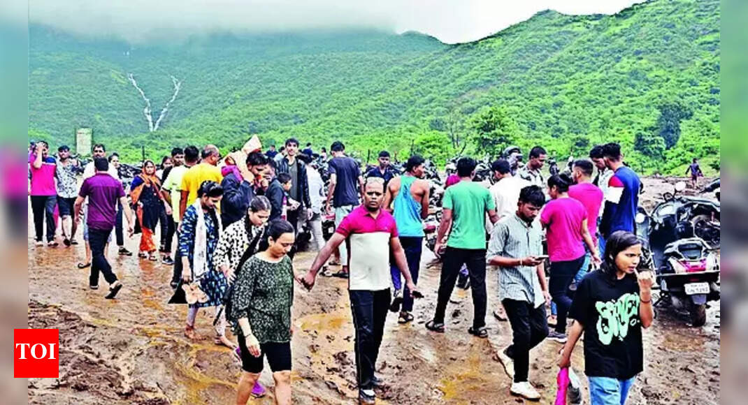 Forest Officials: Forest Officials, Cops Maintain Strict Vigil At ...