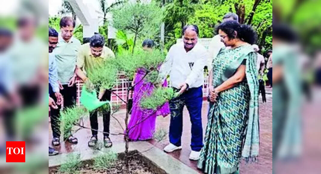Van Mahotsav: Van Mahotsav: 250 saplings planted at Lucknow University ...