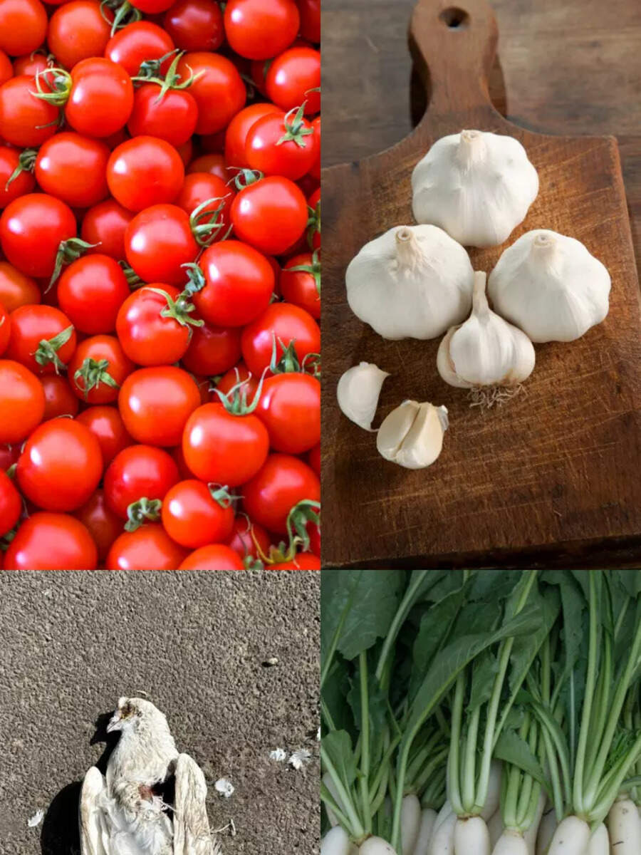 10 weirdest food festivals from around the world | Times of India