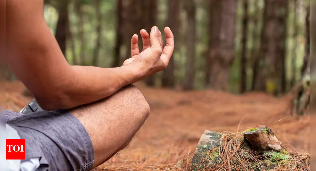 The Three Important Definitions Of Yog - Times of India