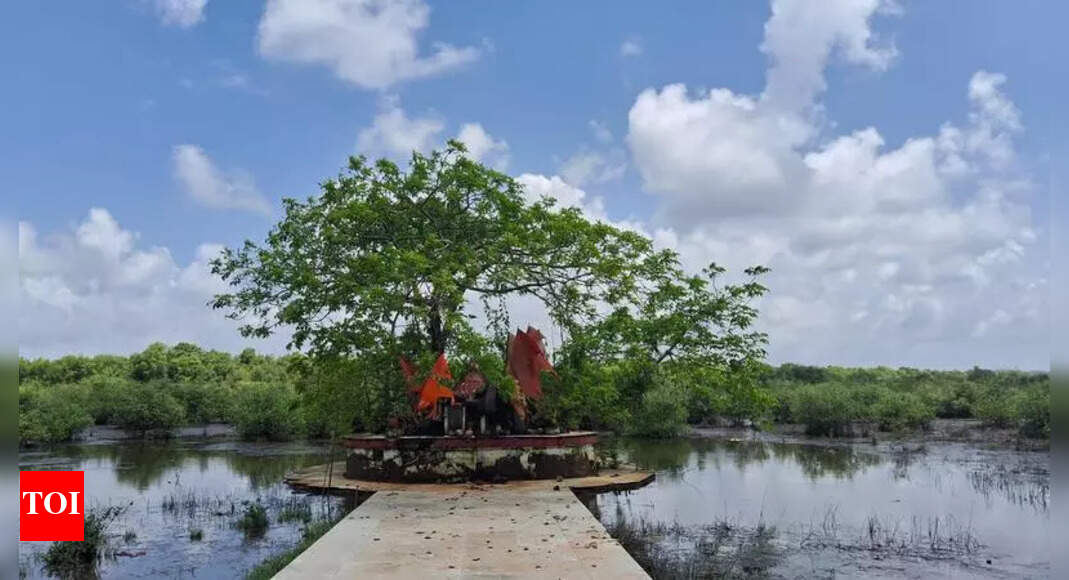 Nivalkatryacho Devchar: Witness of Madkai tragedy | Goa News - Times of ...