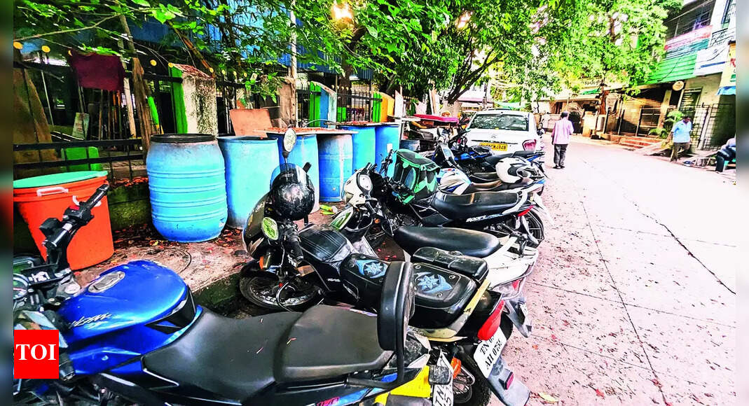 Natesan Park: Road around Natesan Park encroached, walking an ordeal ...