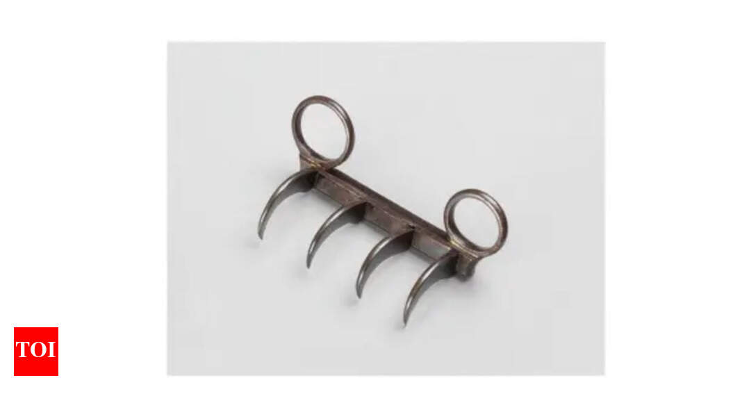 Origin of 'wagh nakh' coming to Maharashtra uncertain: London museum ...