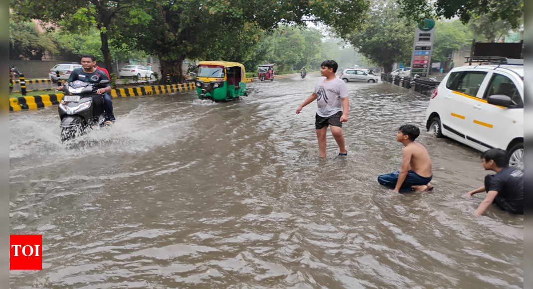 Heavy rain lashes Delhi-NCR; IMD predicts light rain for next 2 days | Delhi News - Times of India