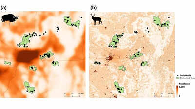 Conservation: NCBS study shows land use changes & roads threaten ...