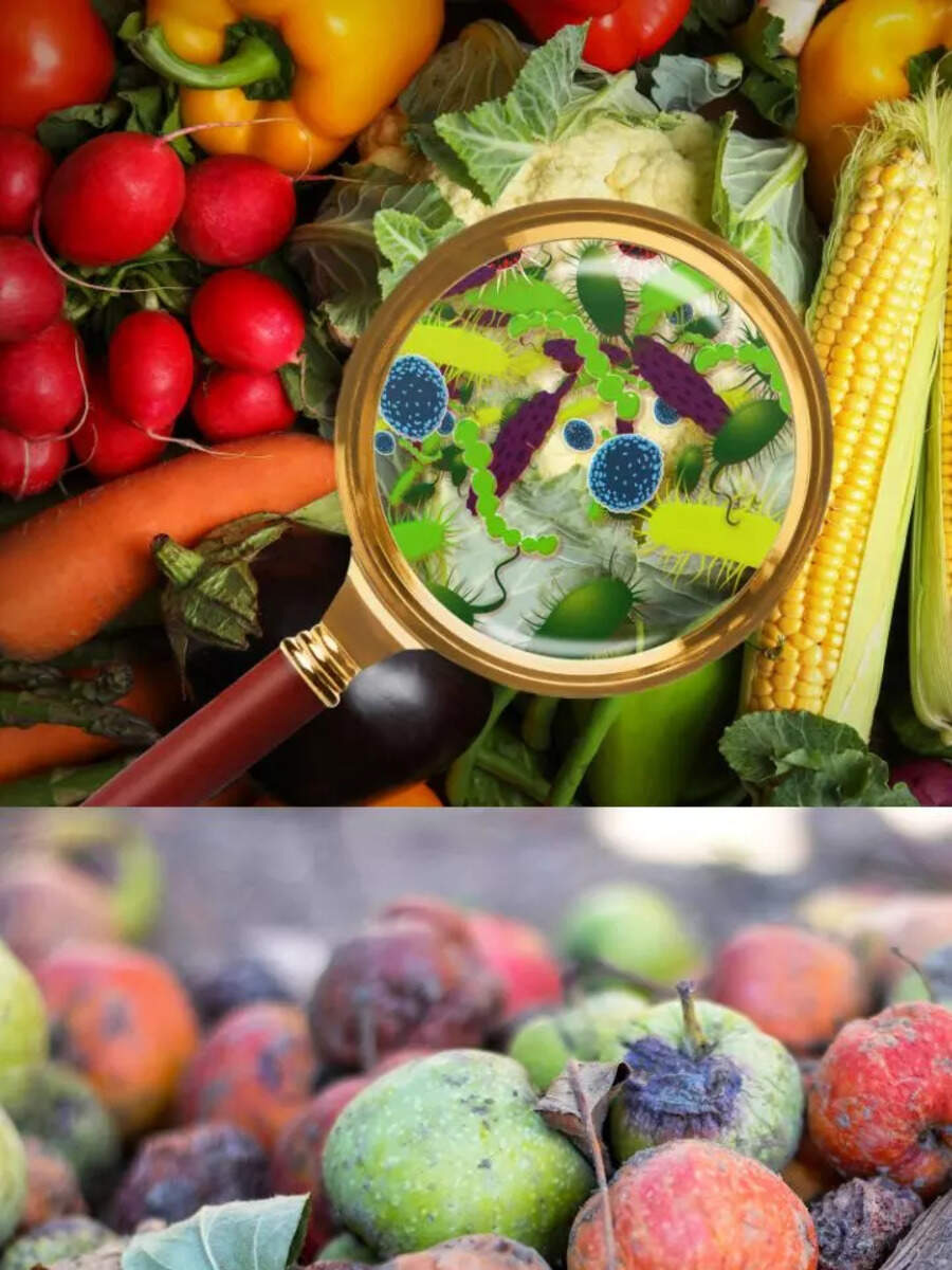 8 Sure shot ways to prevent food from spoiling during Monsoons | Times ...