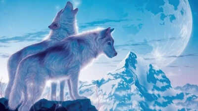 How spirit animals reflect your Zodiac personality - Times of India