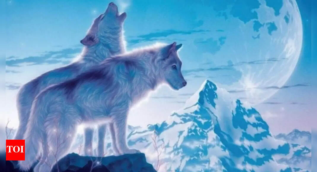 How spirit animals reflect your Zodiac personality - Times of India