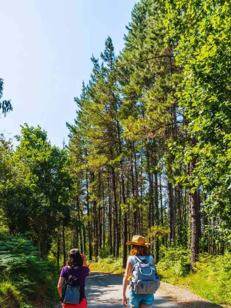 A look at UNESCO’s 11 new biosphere reserves | Times of India