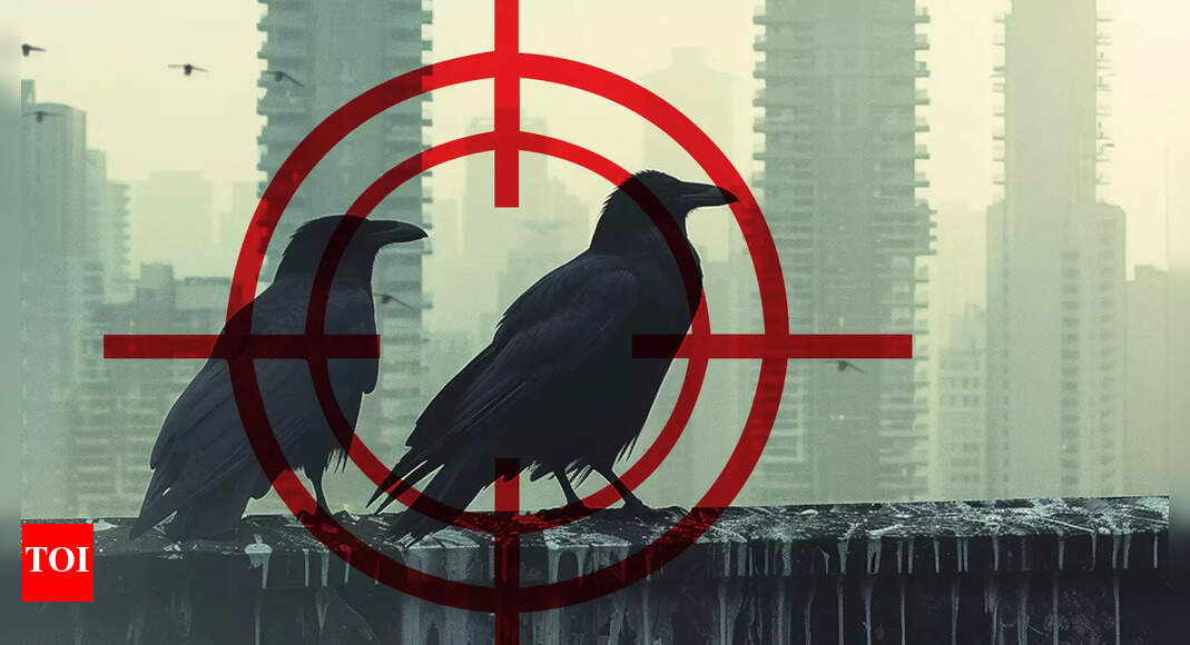 Why Kenya wants to eliminate 1 million Indian house crows - Times of India