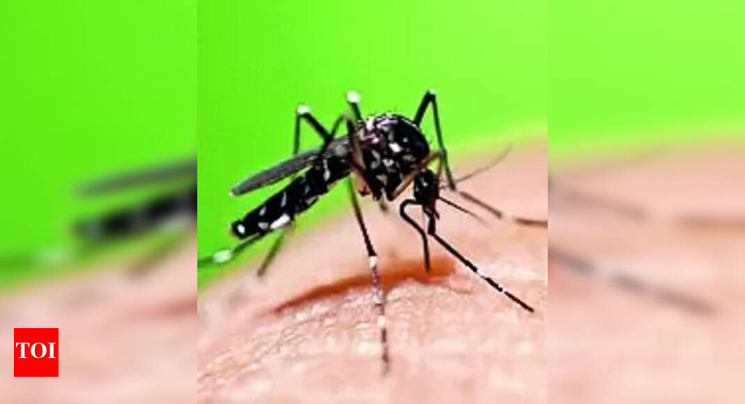 Fogging: Fogging for Mosquito Control: PR Move or Effective Strategy ...