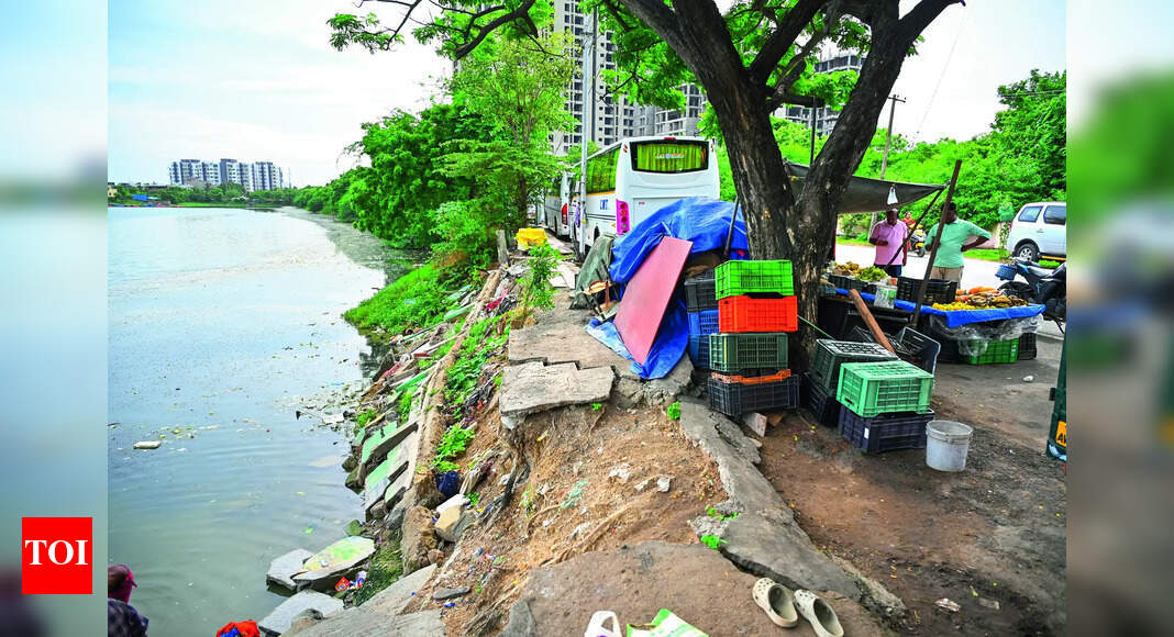 Perungudi Lake: Roadside vendors encroach public space around Perungudi ...