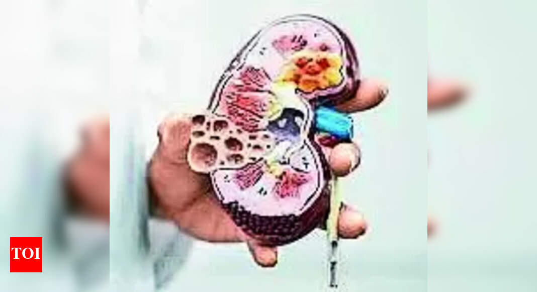 Impaired Kidney Function: Obesity and Family History Linked to Renal ...