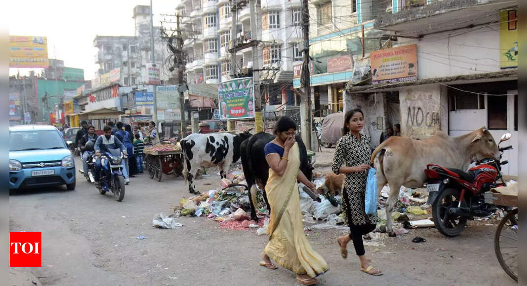 Dirtiest cities in the world 2024; check out the list | World News ...