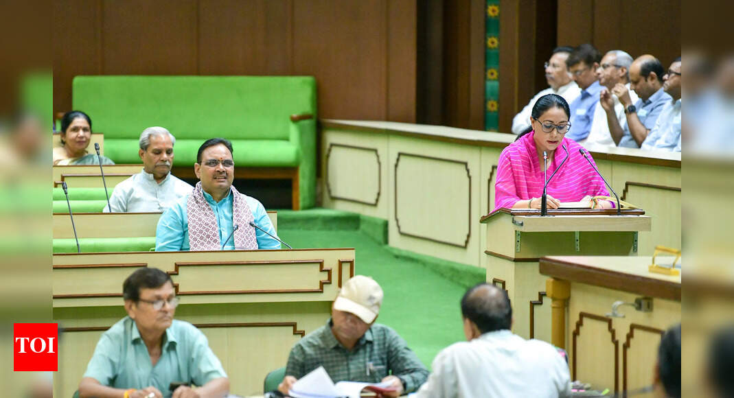 Rajasthan state budget 2024: Key details | Jaipur News - Times of India