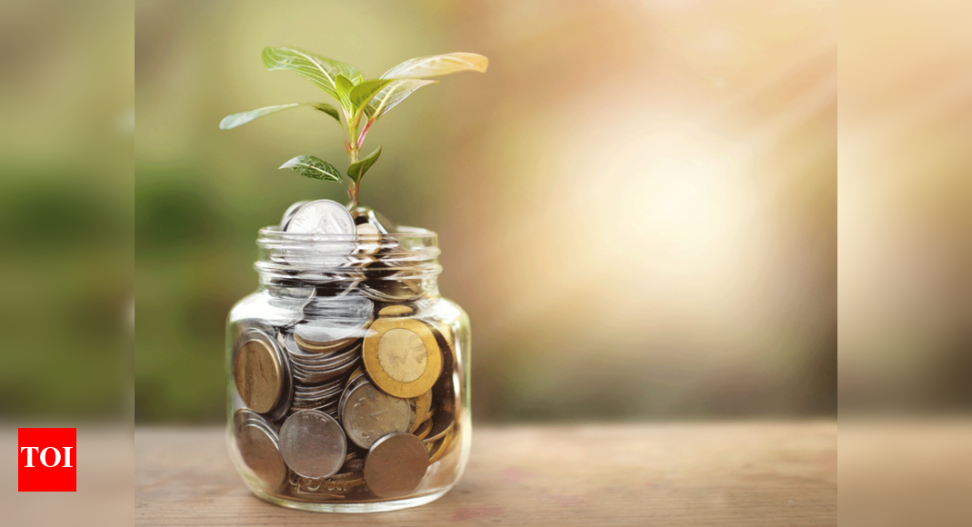 Timbuckdo raises seed funding of Rs 2,00,00,000 from Morton Meyerson ...