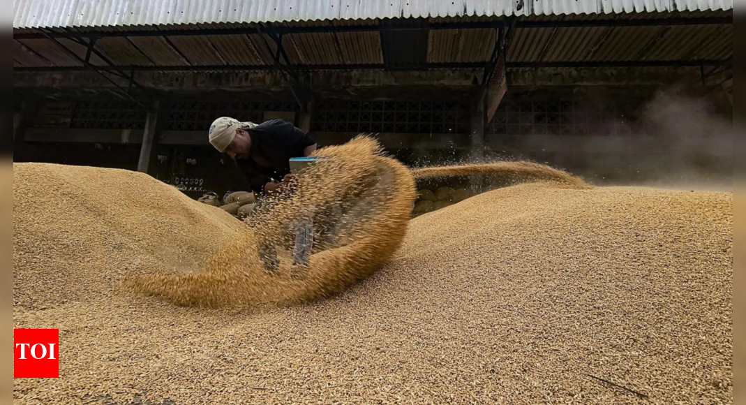 Government to resume wheat sale, will consider lifting rice export ban ...