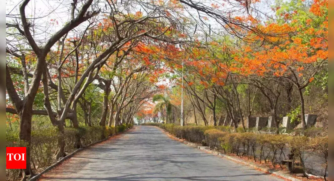 Top 10 cleanest cities in the world 2024 | World News - Times of India