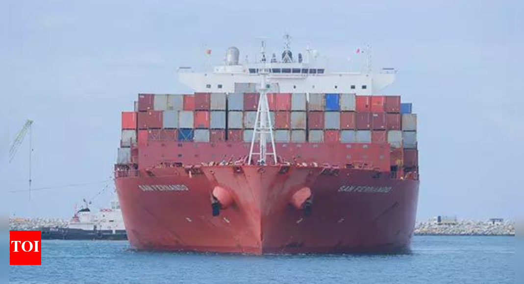 First mothership docks at Kerala's Vizhinjam international transhipment ...