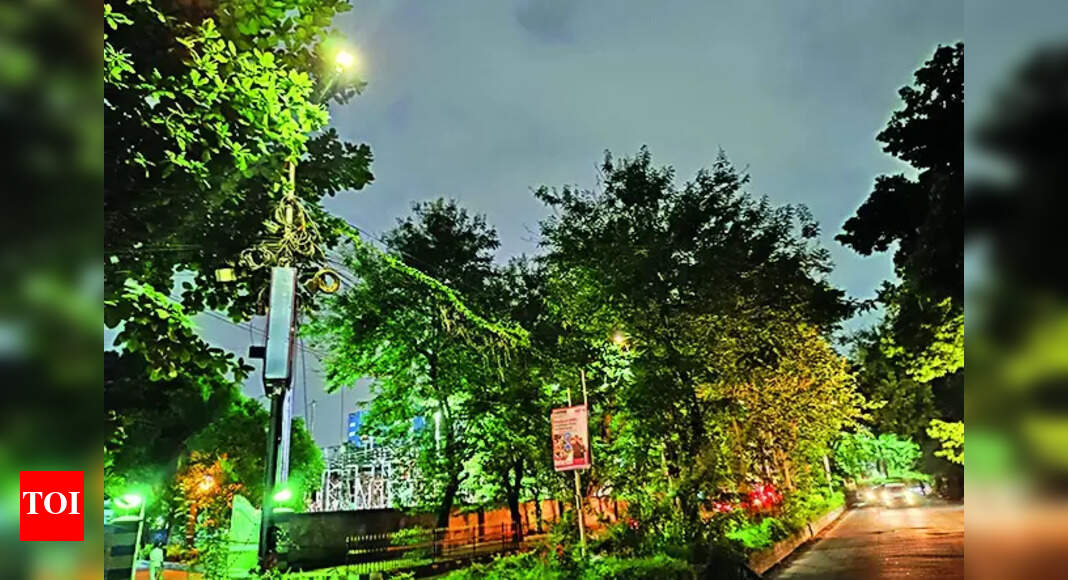 LED Street Lights: BMC to install 1,000 LED street lights in Salt Lake ...