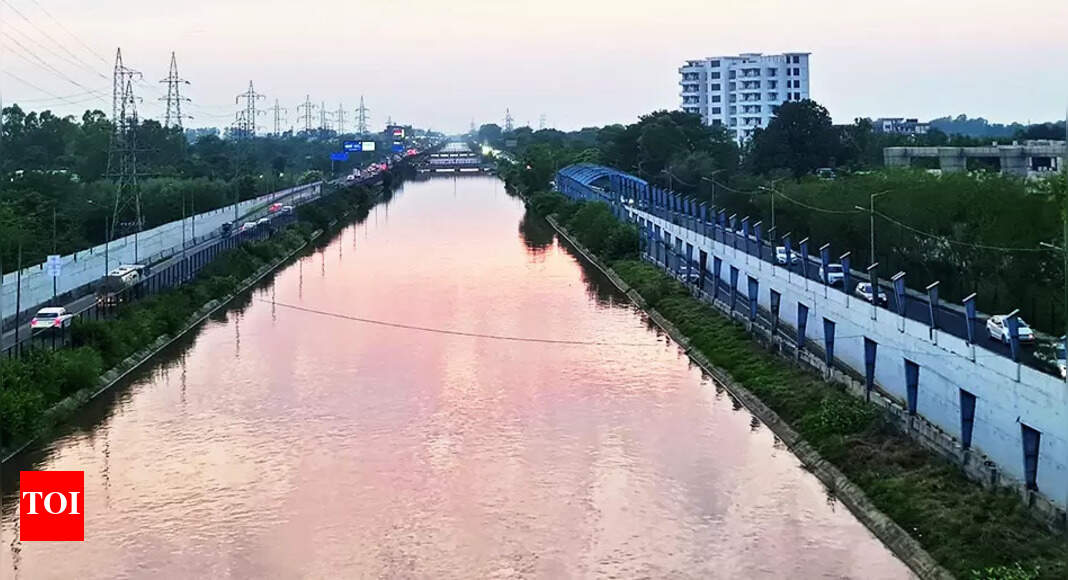 PMIDC: PMIDC sets ball rolling for canal-based water project | Ludhiana ...