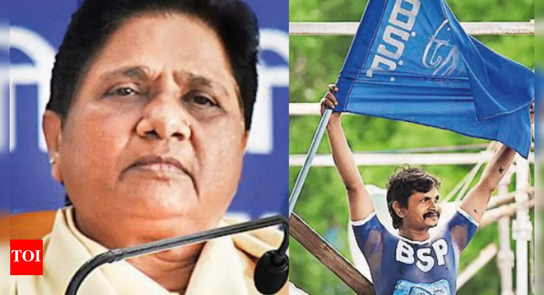 BSP forms alliance with INLD for Haryana assembly polls | Lucknow News ...