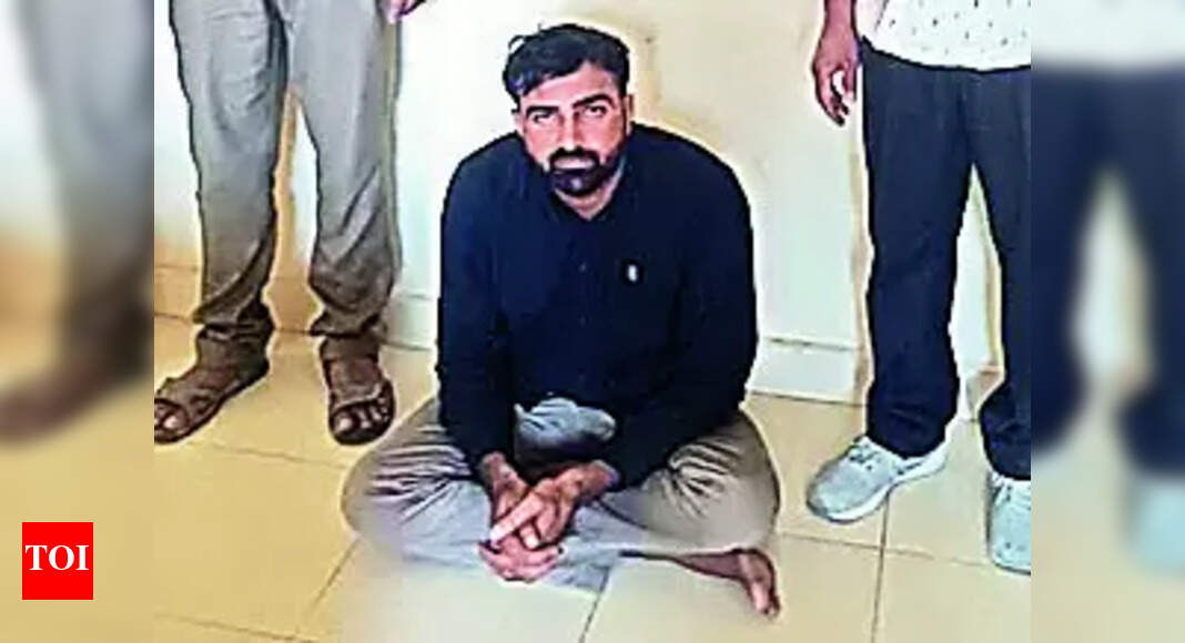 Fake Degrees: Rajasthan Police Arrests Librarian in Fake Degrees Scam ...