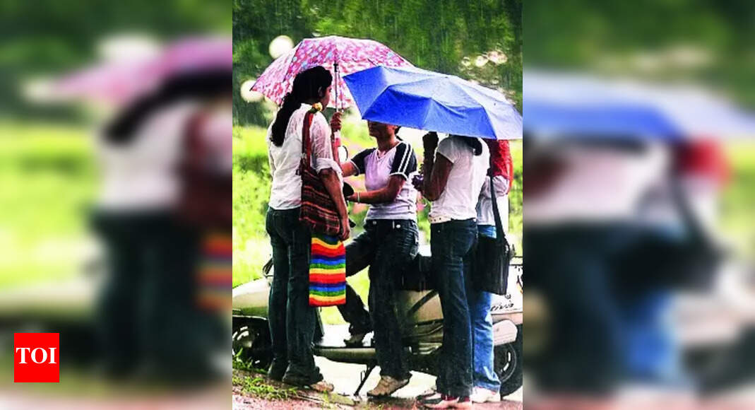 Ludhiana Rain and Weather Forecast | Ludhiana News - Times of India