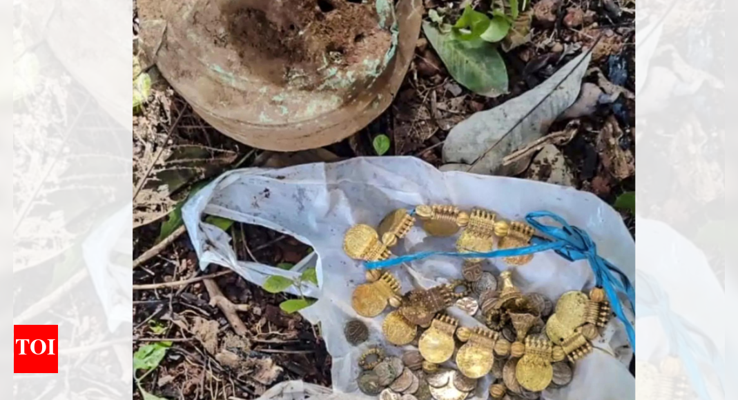 Group of workers find ancient gold and silver treasures in Kerala's ...