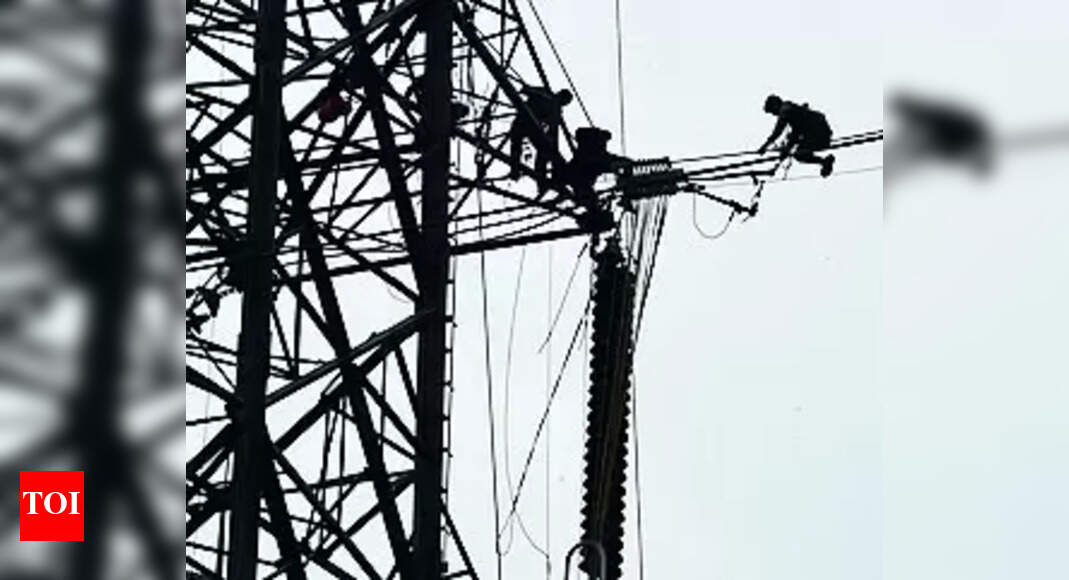 Tangedco: Tangedco Urges Timely Power Connection Approvals for ...