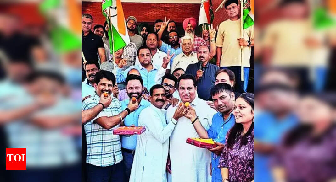 Congress Party: Congress Wins Majority in Bypoll Results Across ...
