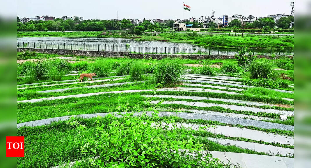 Welcome Jheel Park: Restoration of Welcome Jheel Park in East Delhi ...