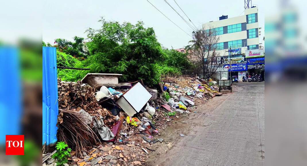Waste Dumping: Chennai's Public Places Turn into Waste Dumping Grounds | Chennai News - Times of ...