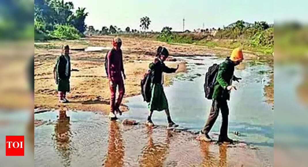 Bridges: State government allocates funds for building two bridges in ...