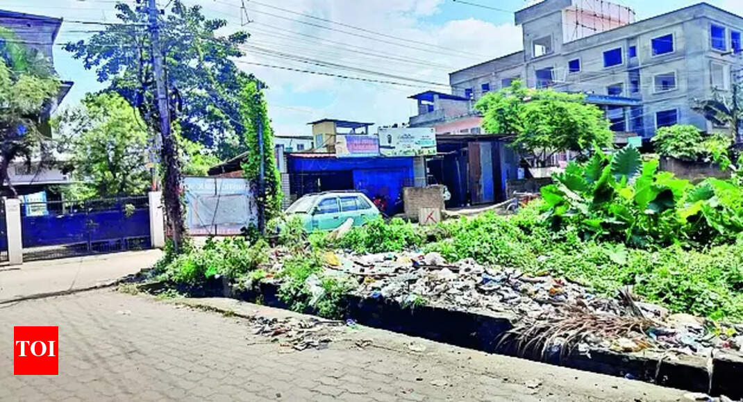 Ward 41: Residents of Ward 41 in City Rue Facing Infrastructure ...