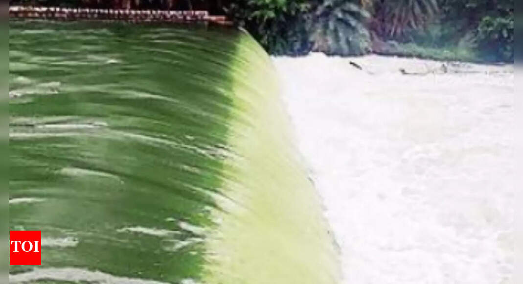 Will obey Cauvery order only if catchment areas get adequate rain, says ...